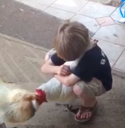 Boy asks ‘love bird’ for a hug – the adorable encounter has been viewed ...