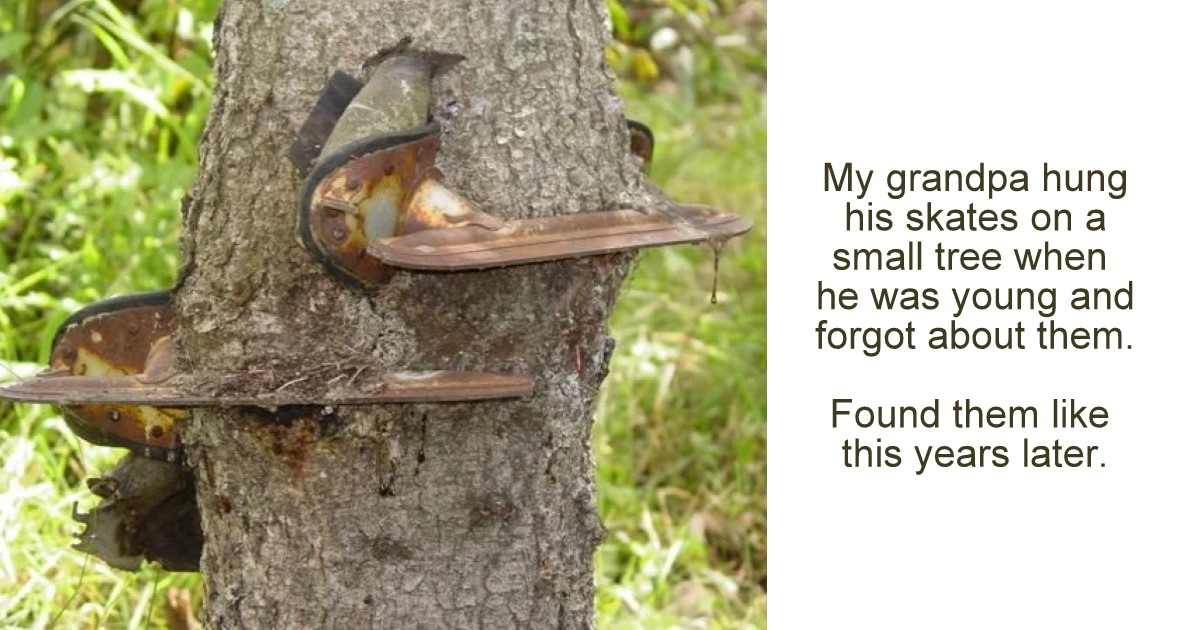 50 Lucky People Finding Their Long Lost Items