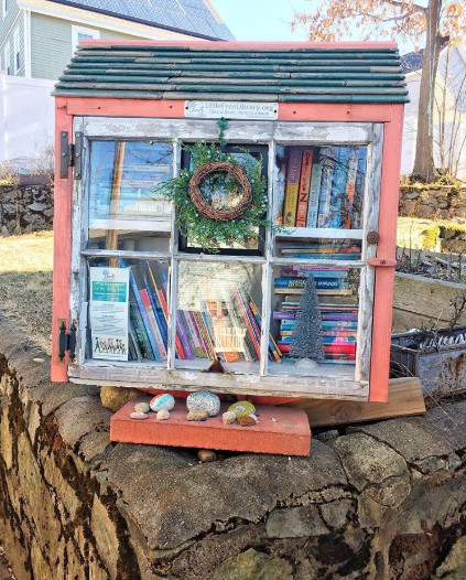 50+ Photos of amazing free libraries people have built for their ...