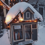50+ Photos of amazing free libraries people have built for their ...