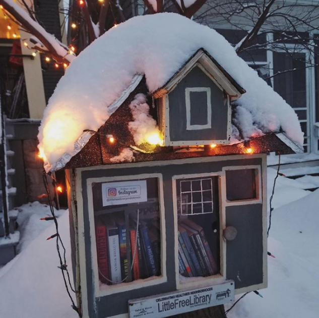 50+ Photos of amazing free libraries people have built for their ...