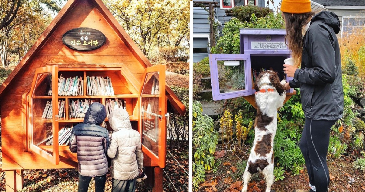 50+ Photos of amazing free libraries people have built for their ...