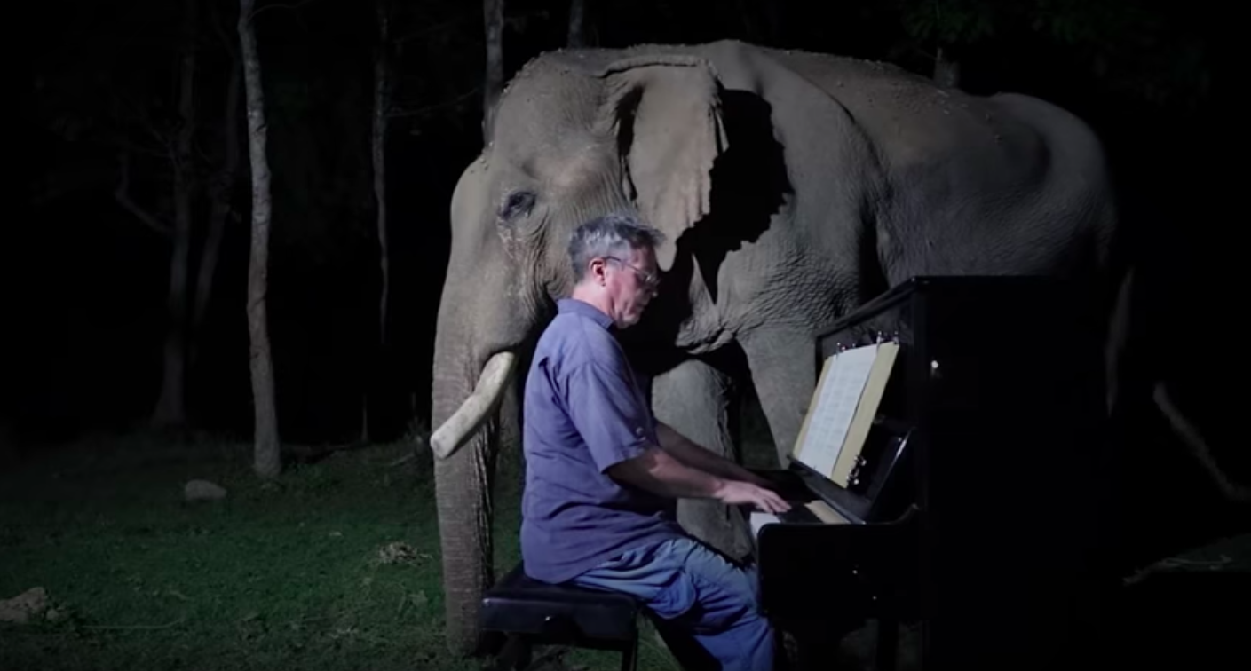 After years of captivity, sweet sensitive elephant enjoys Beethoven ...