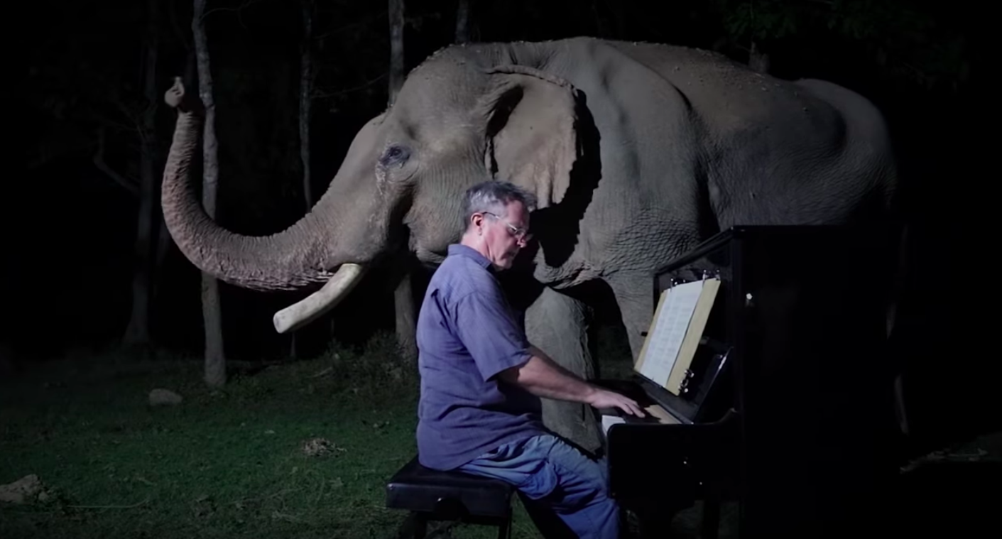 After years of captivity, sweet sensitive elephant enjoys Beethoven ...