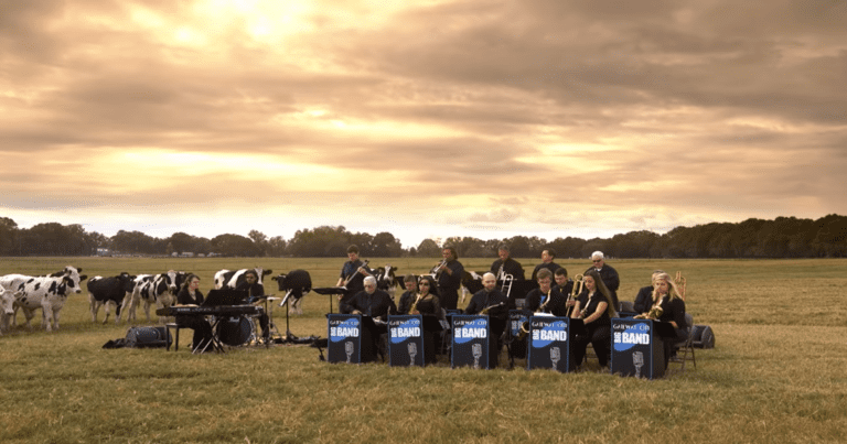 Farmer and his band perform fantastic full-band concert for cows