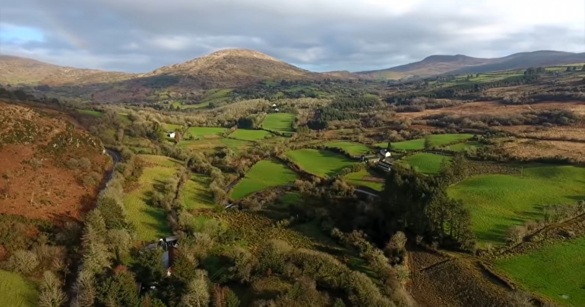 Clever Irish school kids deliver catchy rap that will make you want to ...