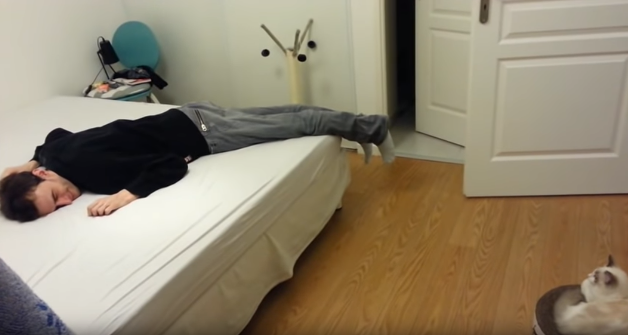 Owner 'fakes his death' then films cats reaction