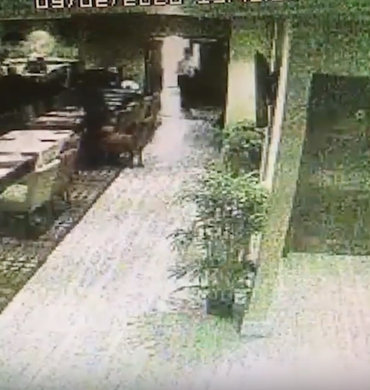 Waiter falls to the floor while carrying 4 meals – pulls off epic save ...