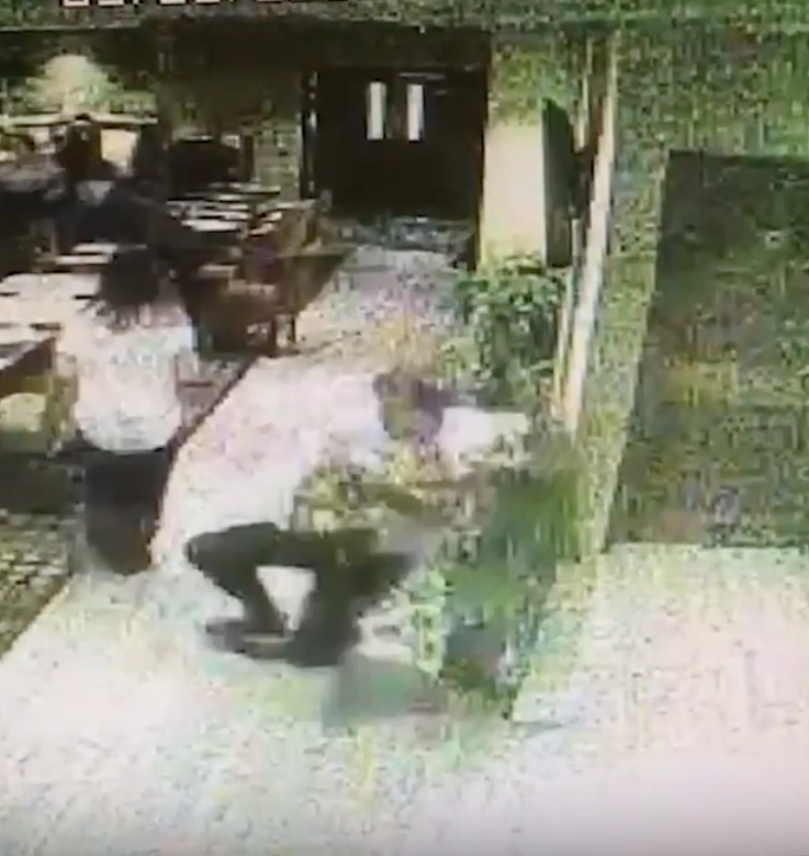 Waiter falls to the floor while carrying 4 meals – pulls off epic save ...