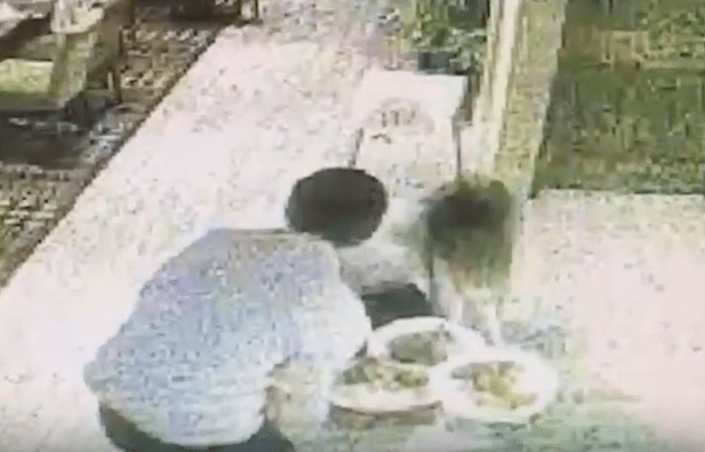 Waiter falls to the floor while carrying 4 meals – pulls off epic save ...