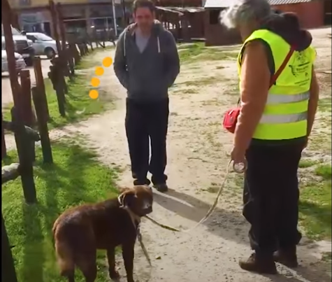 Dog Slowly Recognizes Owner After Three Long Years Missing