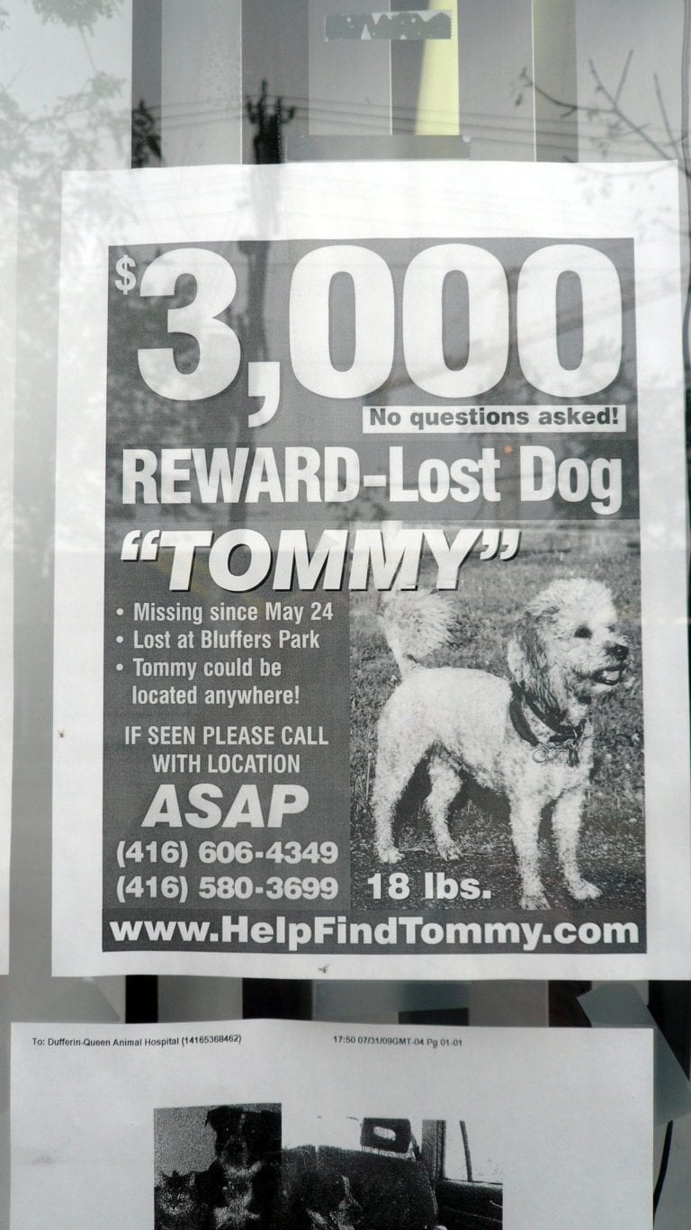 50 absurd laws from around the world we couldn’t make up if we tried