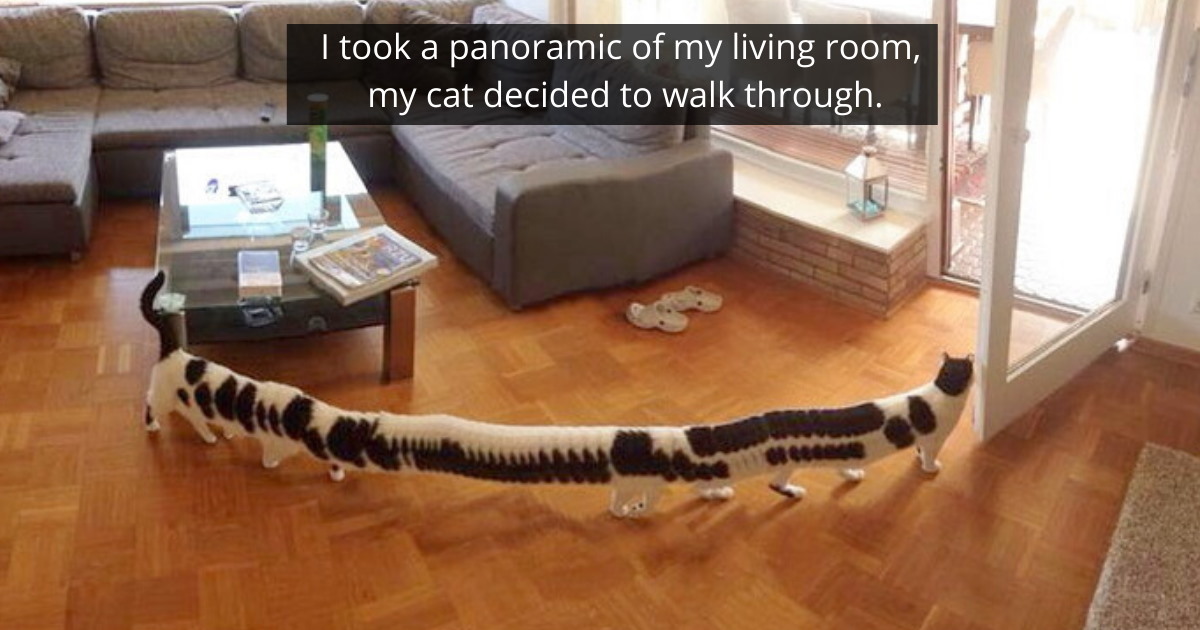 75 Funny Panorama Photos That Are Haunting Fails