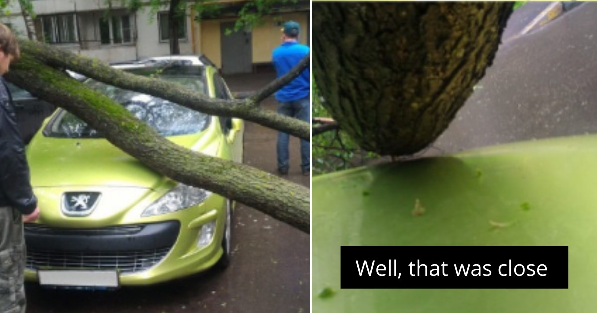 65 Lucky People Who Managed To Avoid Disaster