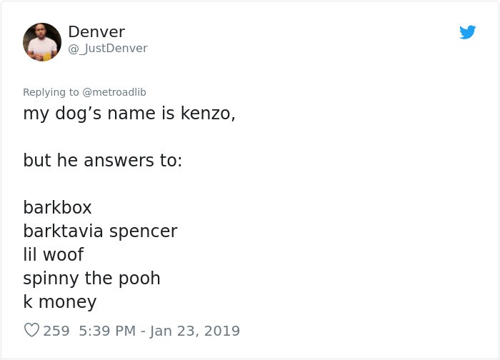 35 Pets hilariously renamed after their owners got to know them