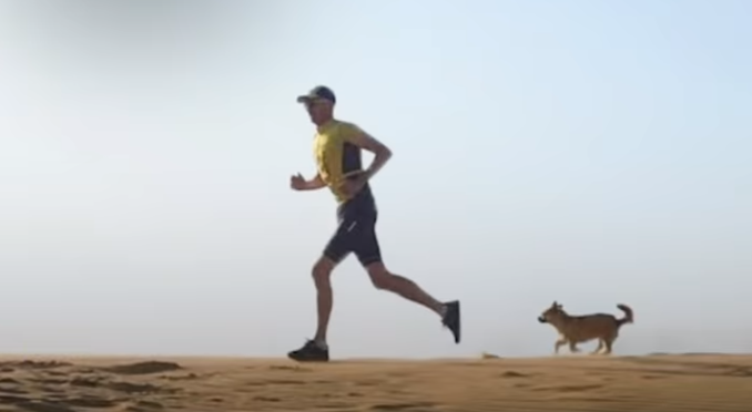 Dog follows ultrarunner throughout race and finds herself a forever home