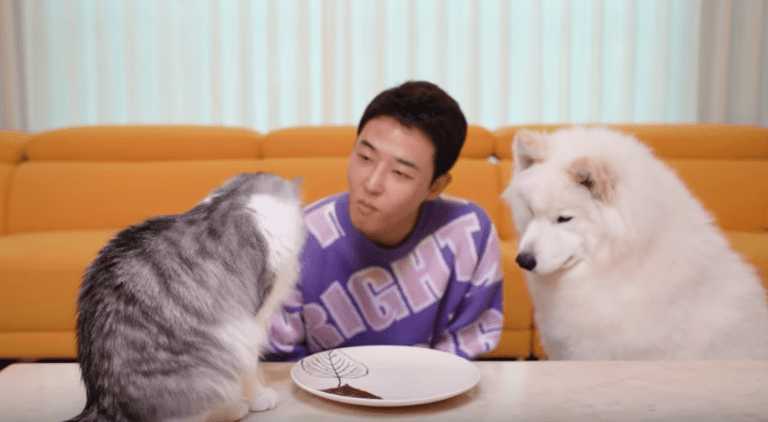 Guy ‘eats’ invisible food and his pets refuse to tell him the truth