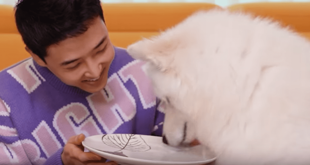 Guy ‘eats’ invisible food and his pets refuse to tell him the truth