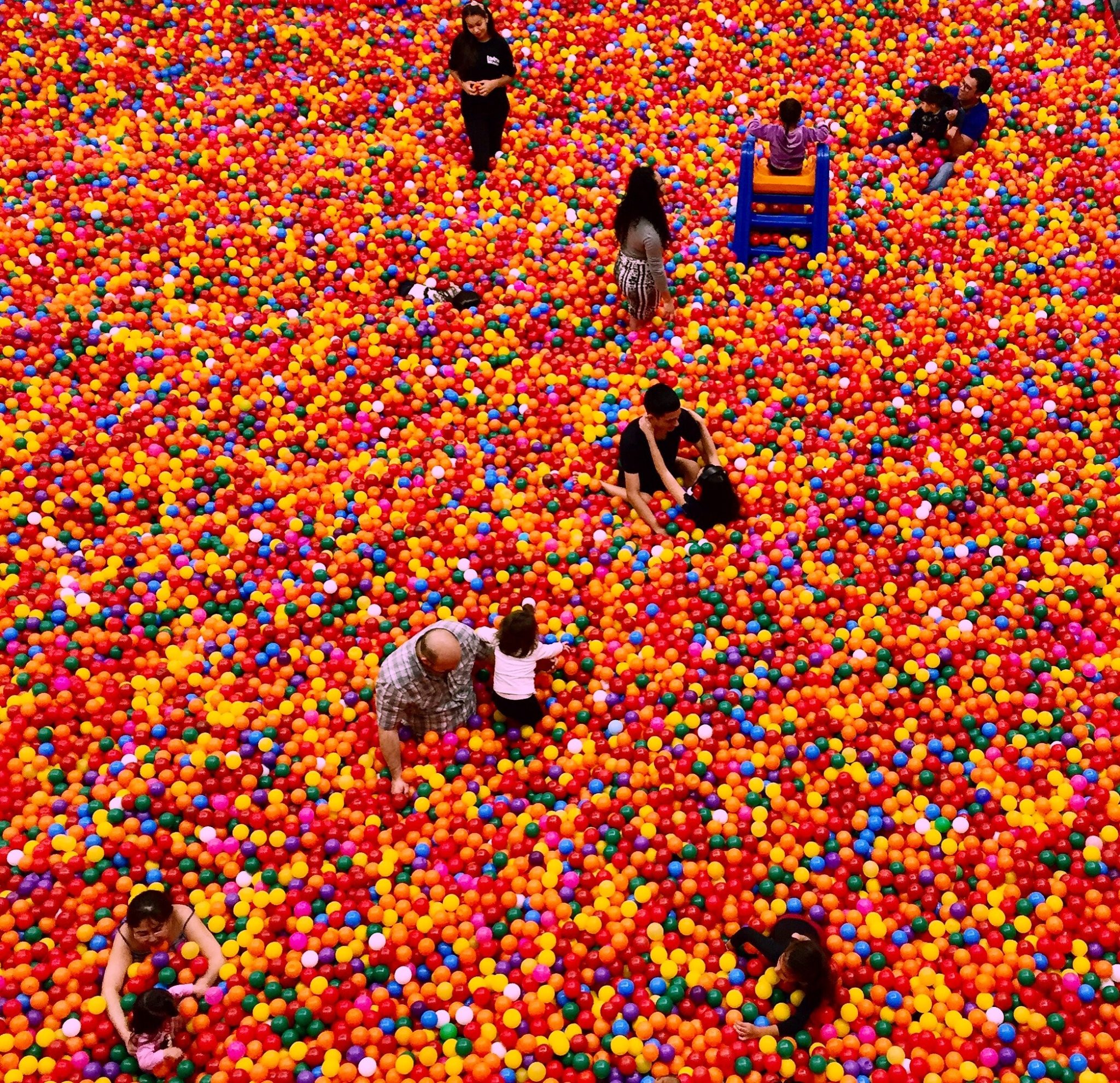 Seniors enjoy a life-size ‘Hungry Hungry Hippos’ game during quarantine