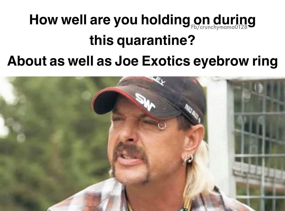 55 hilarious ‘Tiger King’ memes we all need right now