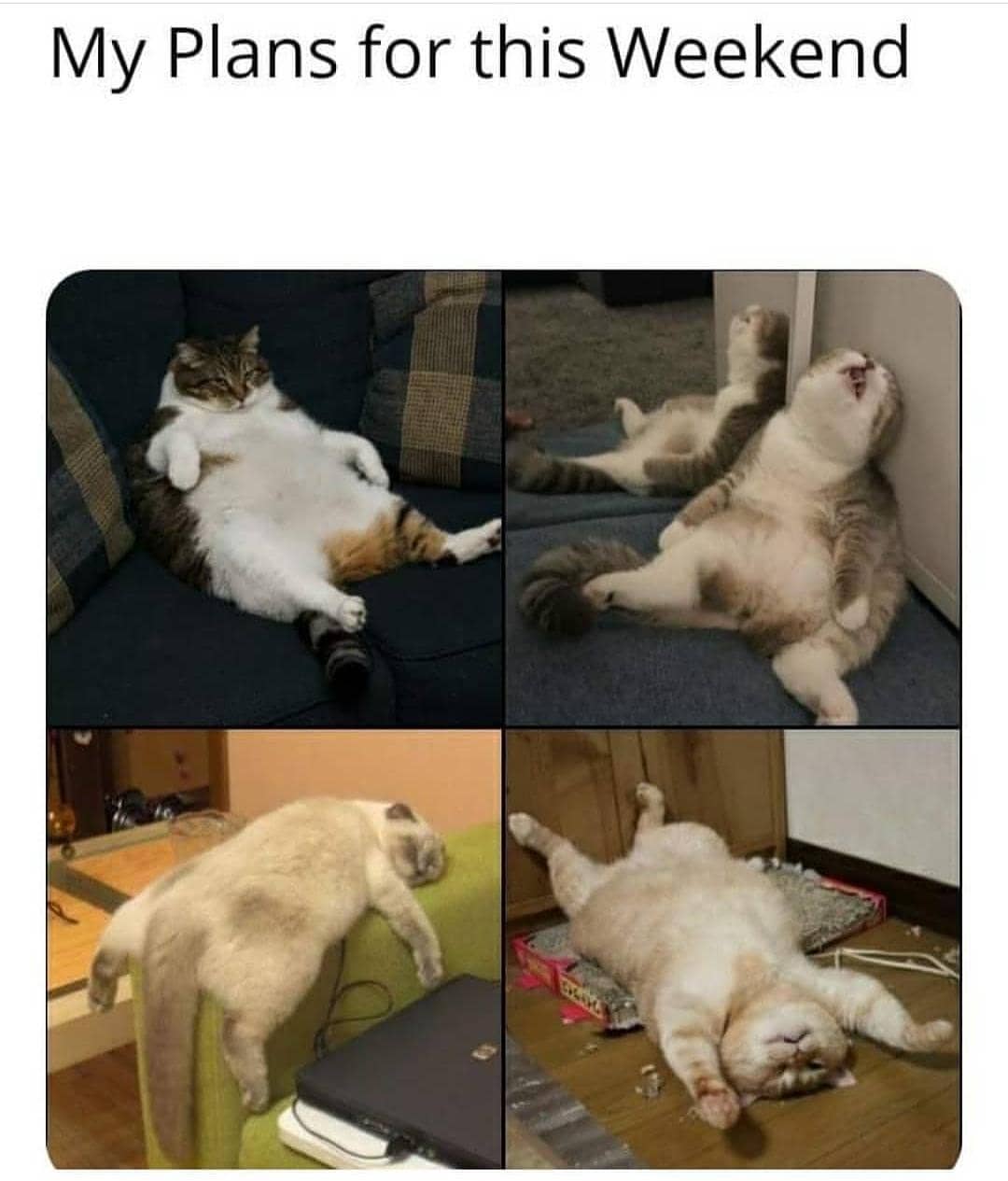 40 jokes only people in self-isolation will understand