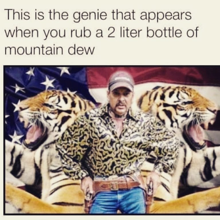 55 hilarious ‘Tiger King’ memes we all need right now