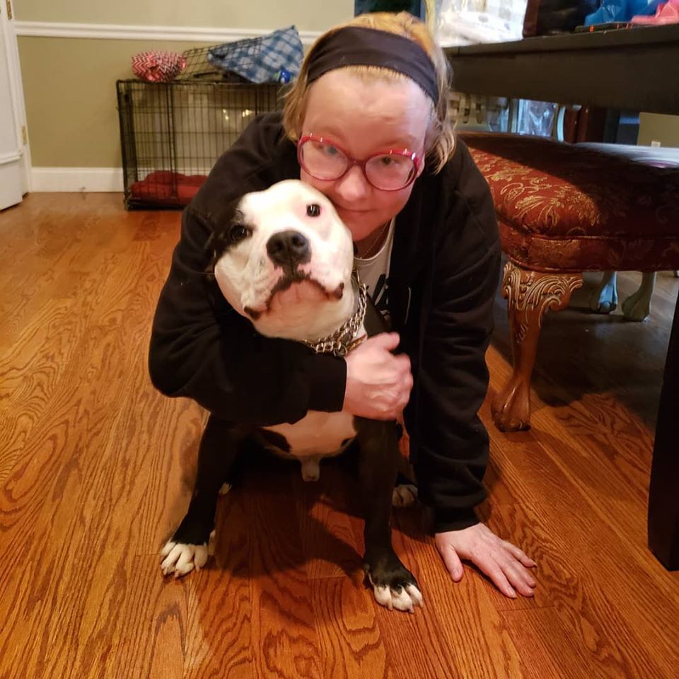 Desperate wounded stray dog walks into woman’s home for help