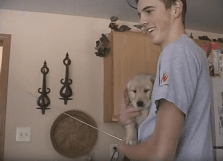 Dad’s Fun Realization He’s Getting A Real Puppy As A Birthday Present