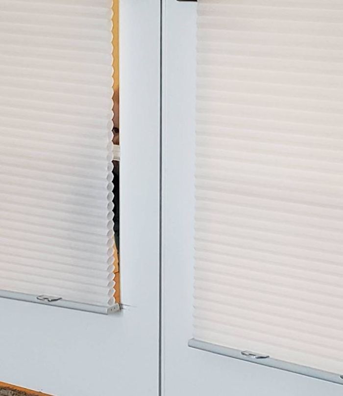 50 hysterical photos of parents currently trapped at home with little ones