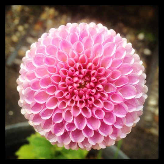 40+ Photos That Will Make Perfectionists Sigh In Contentment