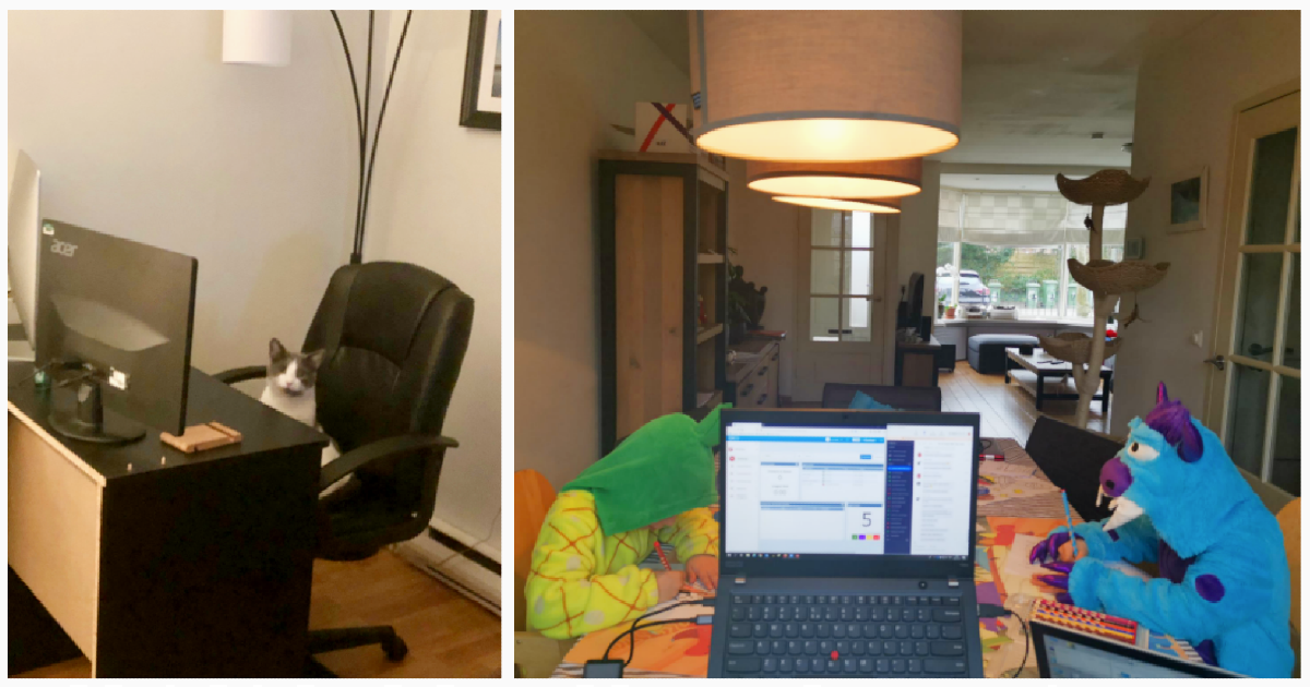 75 pics that nail what it's like to be working from home during quarantine
