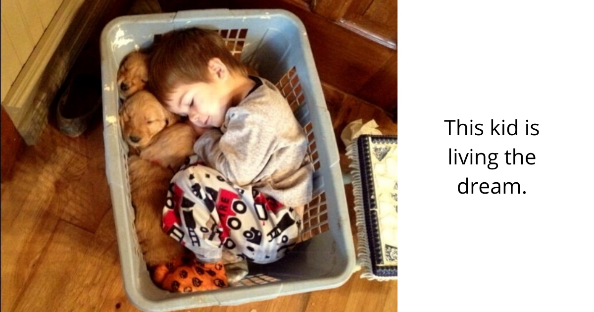 75 Dogs Who’ll Make Your Day Happy