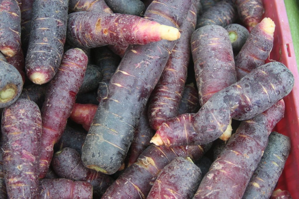 60 Strange Facts That Sound Untrue But Aren’t