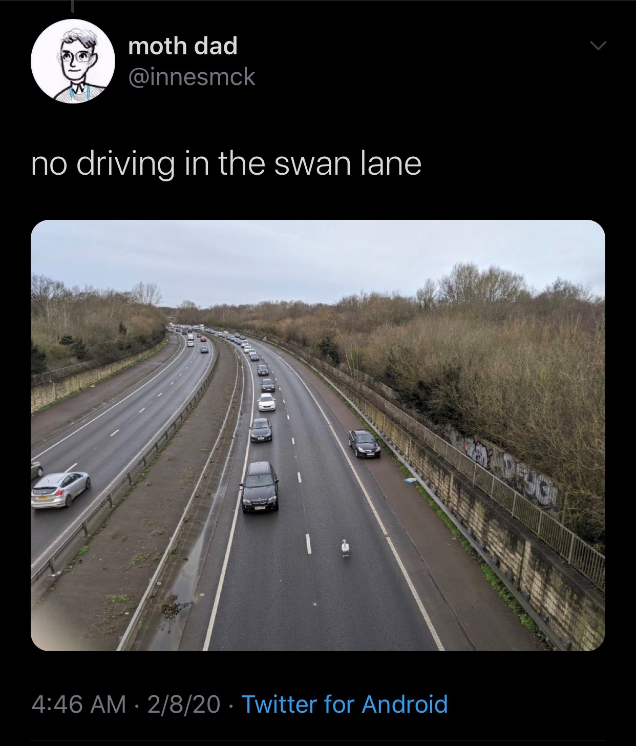 50 hilarious memes we all need right now