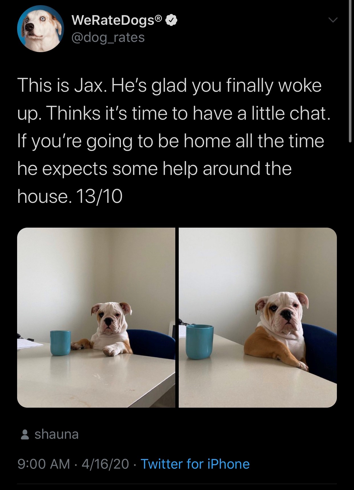 50 hilarious memes we all need right now