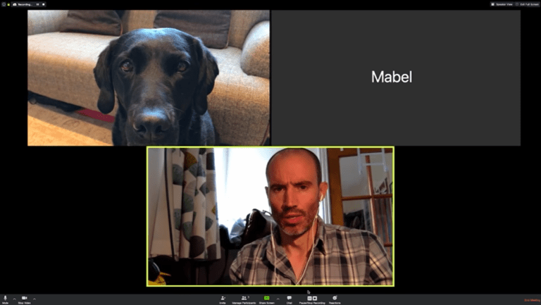 Man hosts zoom call with his two dogs to discuss business but their ...