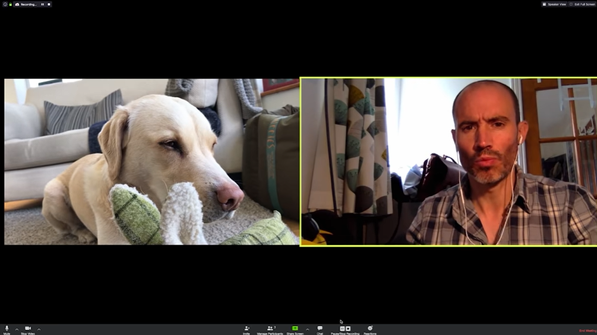 Man hosts zoom call with his two dogs to discuss business but their ...