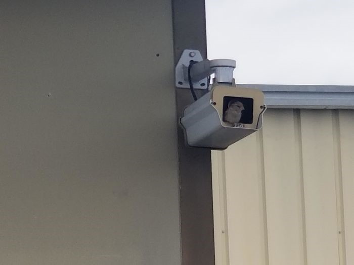 30 technology fails that are the worst tech support workers have ever seen