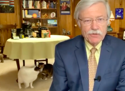 Weatherman’s cats get feisty during forecast