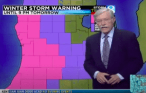 Weatherman’s cats get feisty during forecast