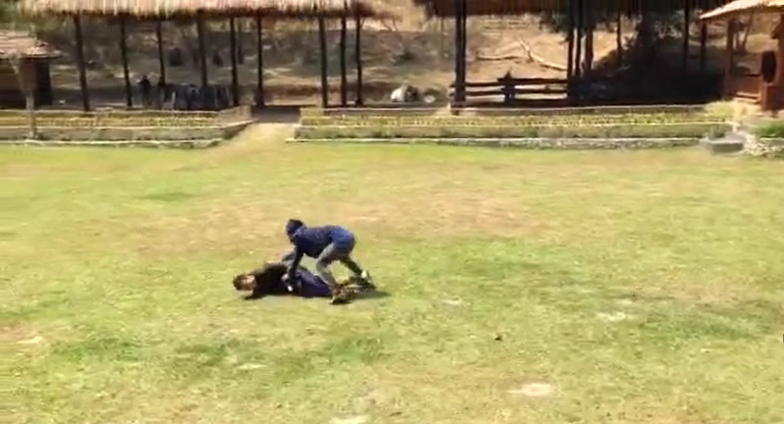 Elephant leaps into action to protect caretaker during staged attack