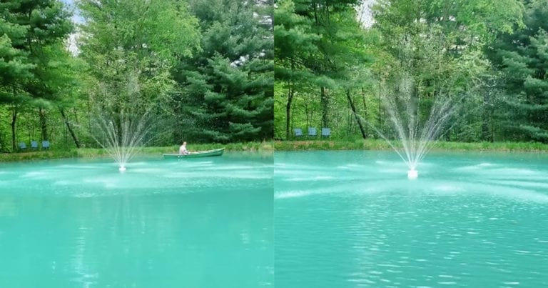 Family transforms murky pond into a blue paradise