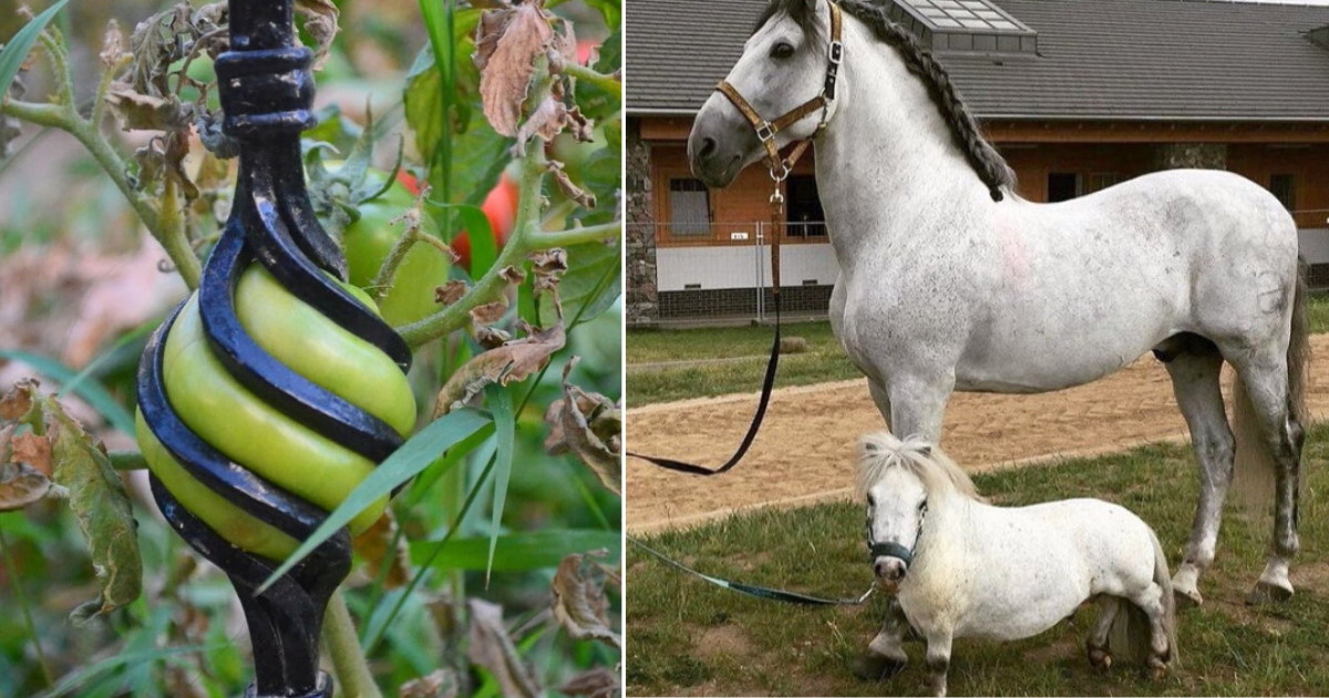 45 Photos Of Things Most People Won’t Ever See