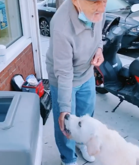 Dog reunites with elderly friend after months apart