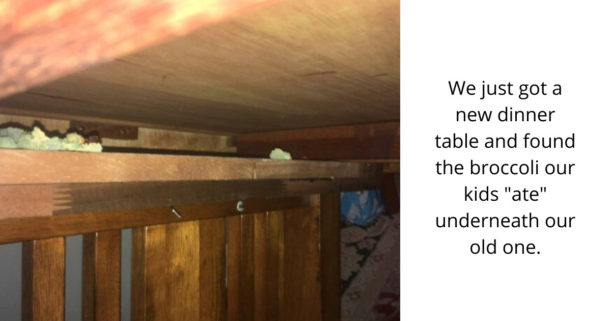 50 People Nailing Their Situations In A Funny Way