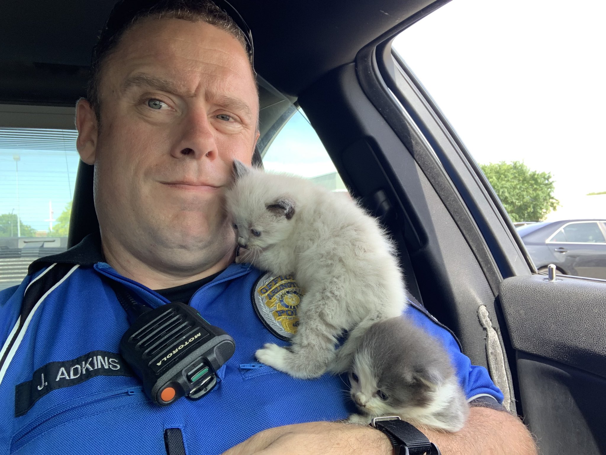 2 Kittens can’t get enough of cuddling with cop who rescued them