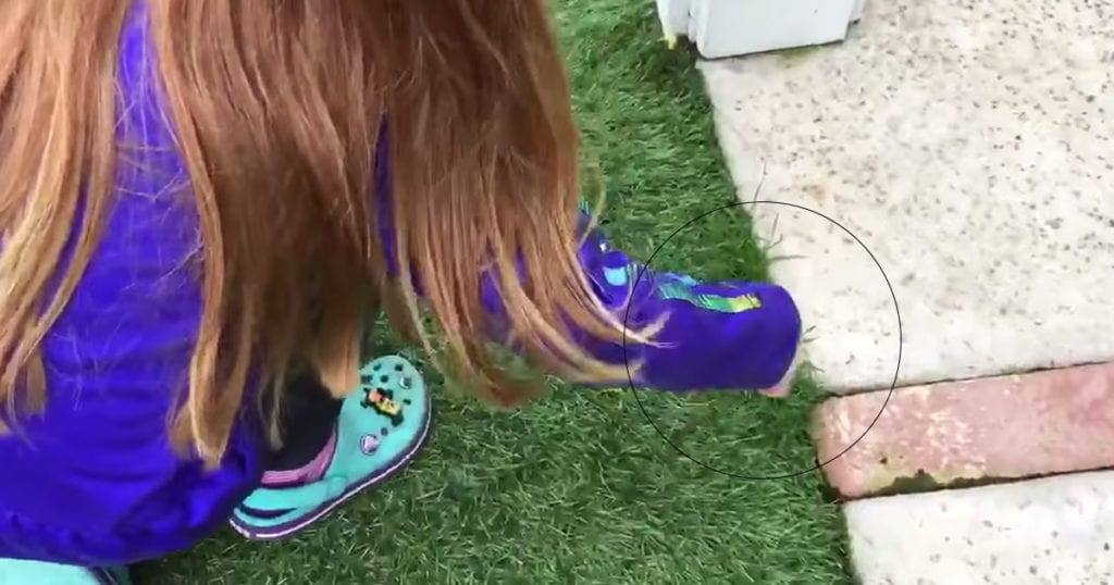 Little girl tells teacher her parents are ‘growing a lot of weed’ at home