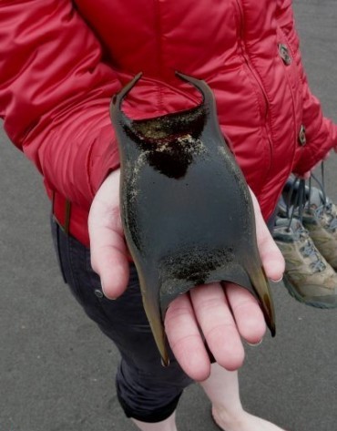 75 Things people usually don’t see in-person