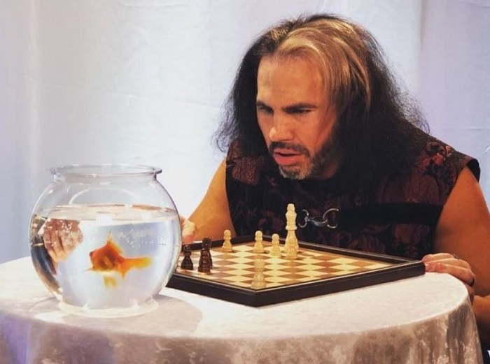 55 Times People Found Some Very Weird Things