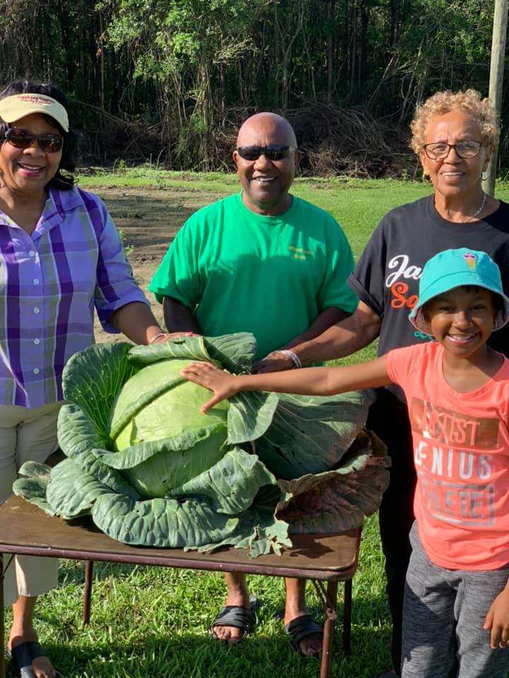 Committed 3rd-grader grows 31-pound cabbage